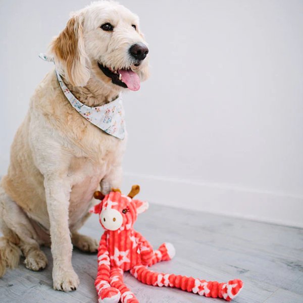 PATCHWORK PET Squeaky Gigi Giraffe Dog Toy, 24-in - Chewy.com