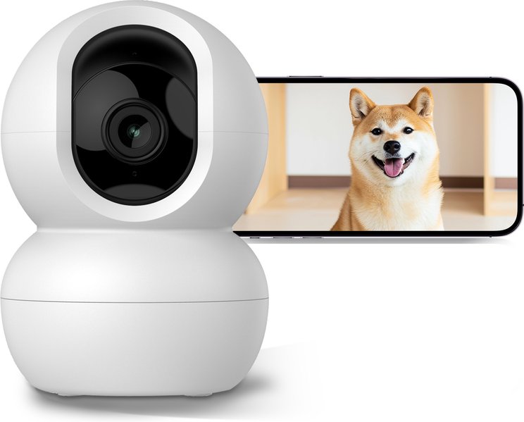 Dog Cameras & Monitors: Wi-Fi, Video & More (Free Shipping) | Chewy