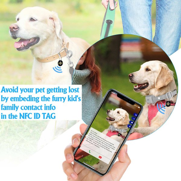 PATPET NFC ID Pet Tag & P650 1000-ft Remote Dog Training Shock Collar ...