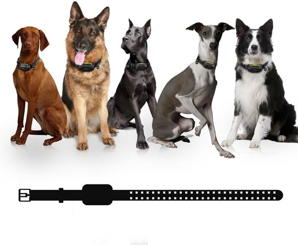 PATPET NFC Pet ID Tag & P910 3000-ft Outdoor Remote Dog Training Shock ...