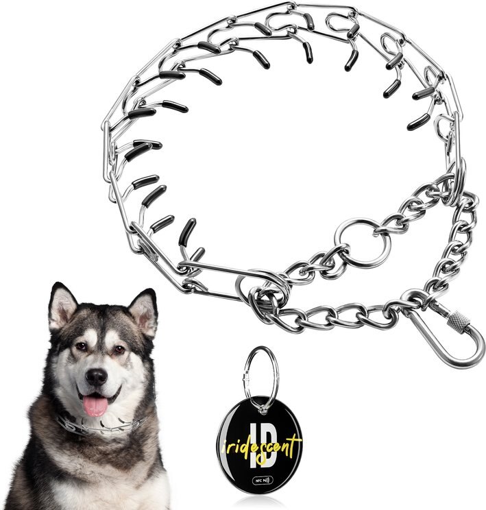 Dog Chain (Free Shipping) | Chewy