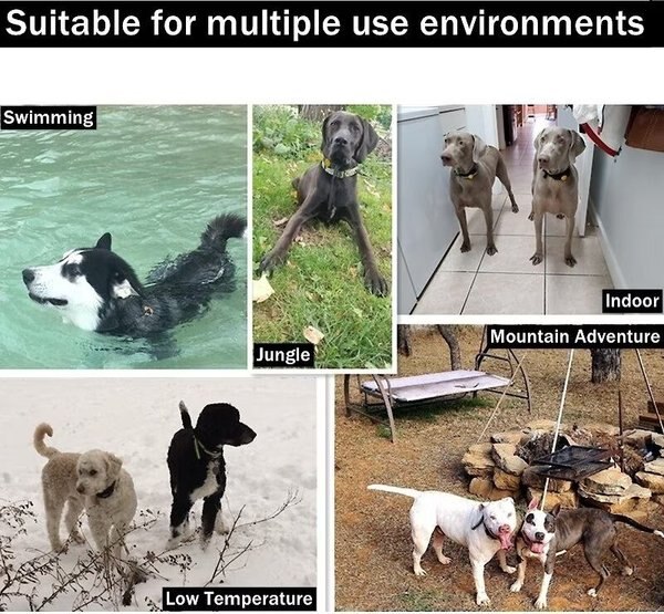 PATPET P320 1000ft Remote Dog Training Shock eCollar, Small, Black 1 ...