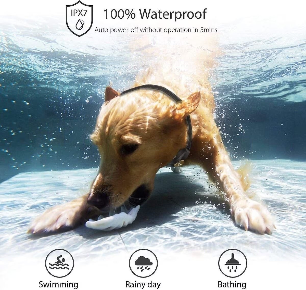 PATPET P320 1000ft Remote Dog Training Shock eCollar, Small, Black 1 ...