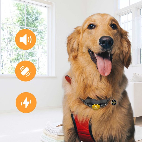 PATPET P320B NFC ID Pet Tag & 1000-ft Remote Dog Training Collar, Black ...