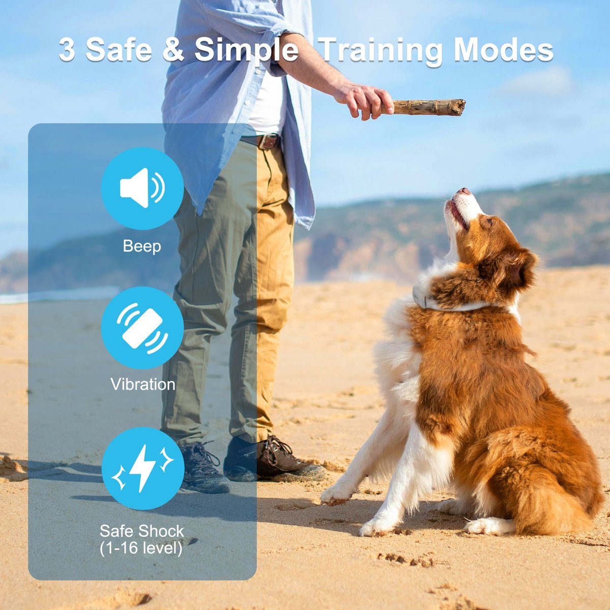 PATPET P650 Anti-Bark & Remote Dog Training Collar, White, 1 count ...