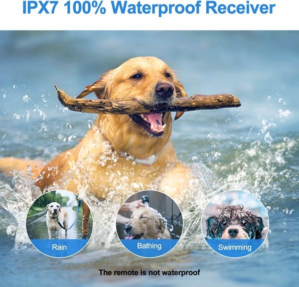 PATPET P650 Anti-Bark & Remote Dog Training Collar, White, 2 count ...