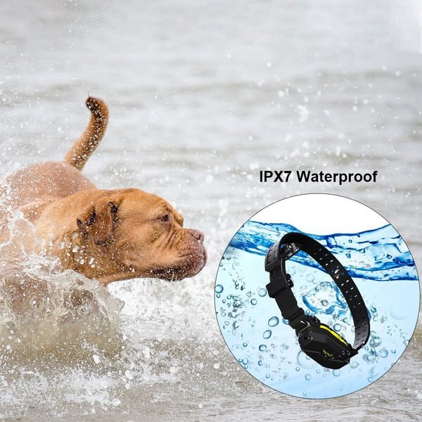 PATPET P910 Military Professional 3000-ft Remote Vibrating Dog Training ...