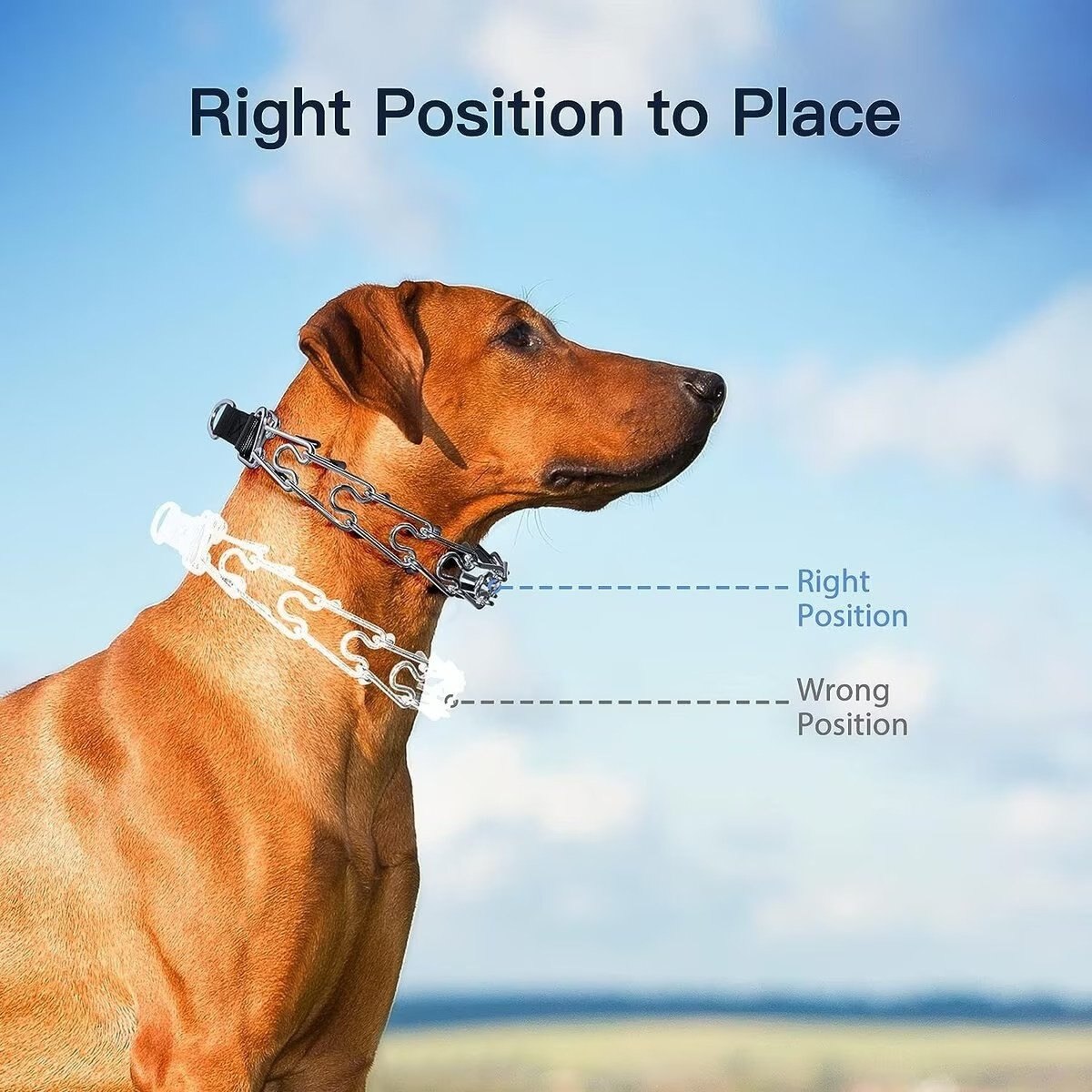 PATPET Quick Release Buckle Prong Training Pinch Dog Collar, Black, 25 ...