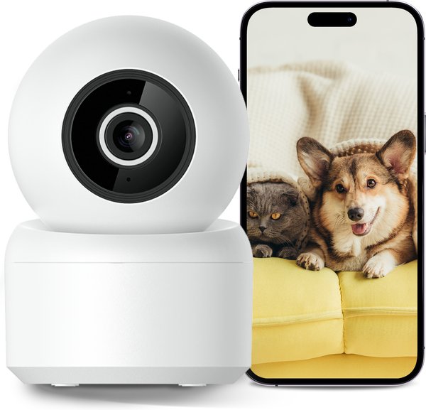 PATPET WIFI Monitoring Auto Focus Camera, White - Chewy.com