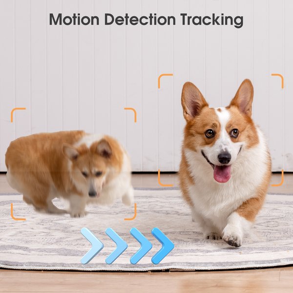 PATPET WIFI Monitoring Auto Focus Camera, White - Chewy.com