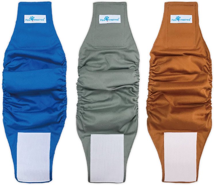 MALE DOG DIAPERS & WRAPS (Free Shipping) | Chewy