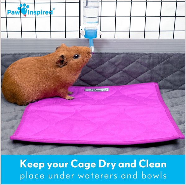 PAW INSPIRED Fleece Cage Liner Small Pet Pee Pads & Bedding, 12x12-in ...