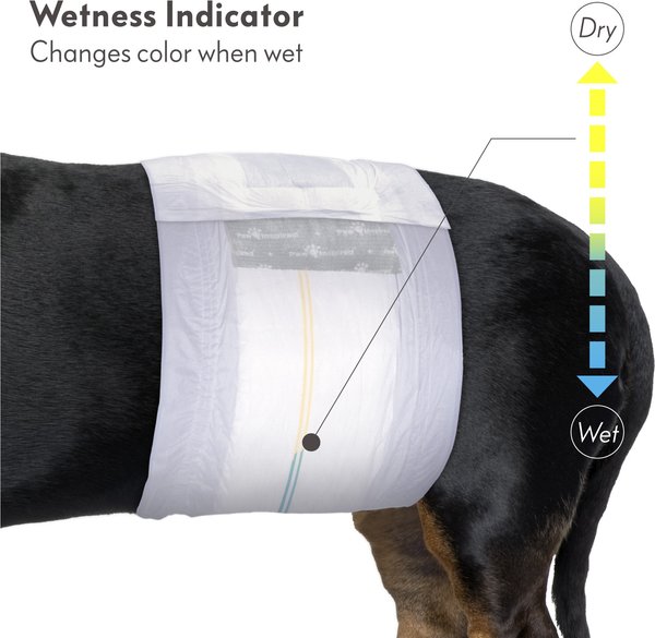 PAW INSPIRED Select Fit Disposable Belly Band Male Dog Wraps, Small ...