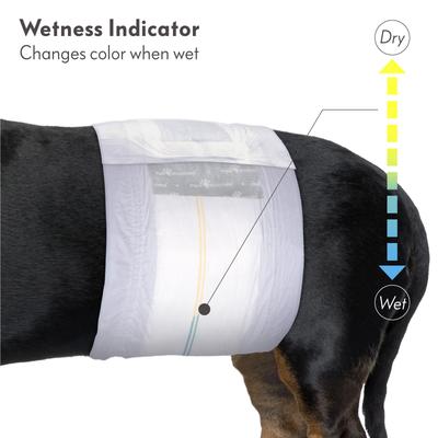 PAW INSPIRED Select Fit Disposable Belly Band Male Dog Wraps, X-Large ...