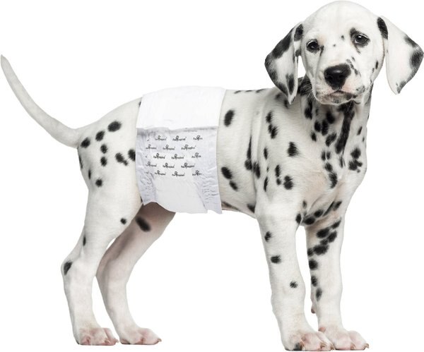 PAW INSPIRED Ultra Protection Disposable Belly Band Male Dog Wraps ...