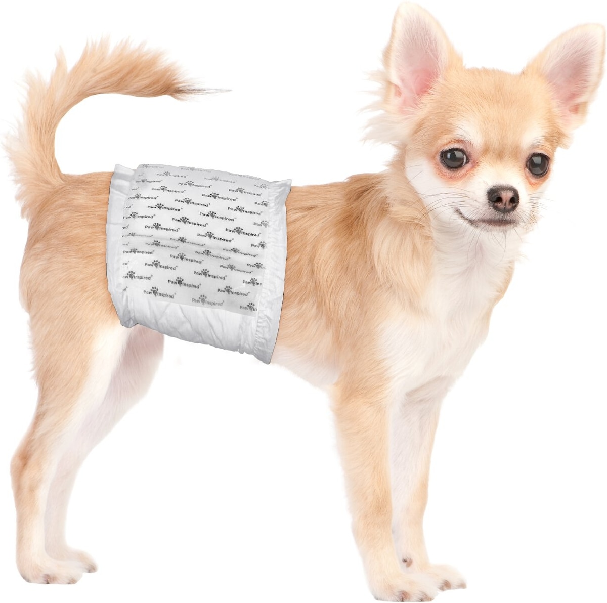 PAW INSPIRED Ultra Protection Disposable Belly Band Male Dog Wraps, X ...