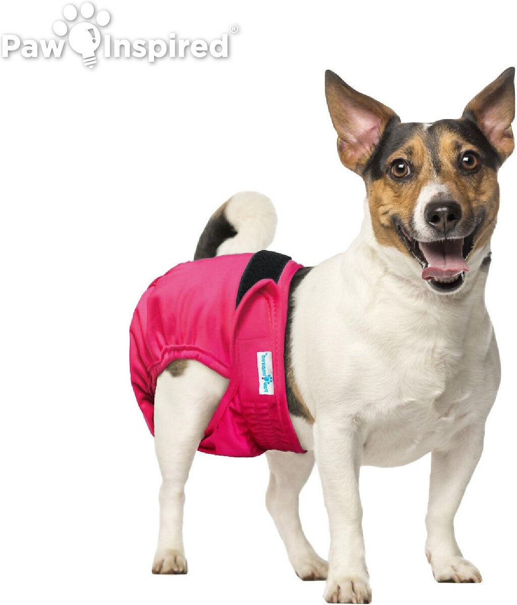 PAW INSPIRED Washable Female Dog Diaper, Variety Pack, Black Lining ...