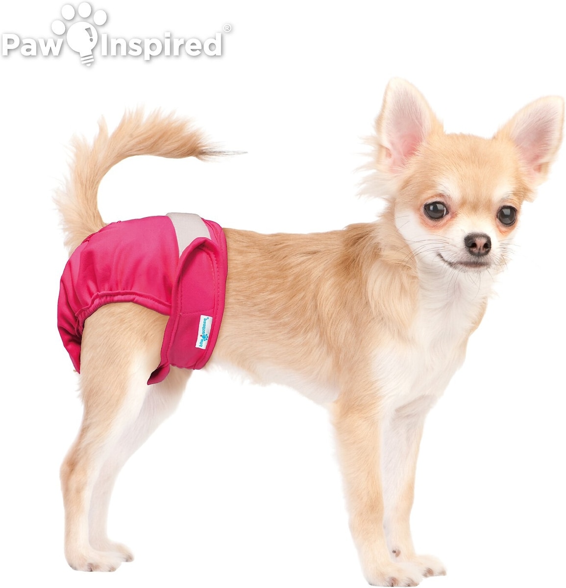 PAW INSPIRED Washable Female Dog Diapers, X-Small: 10 to 15-in waist, 3 ...