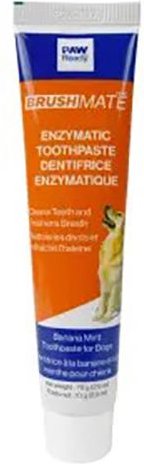 PAW READY Banana Mint Flavor Enzymatic Dog Toothpaste, 70-g tube ...