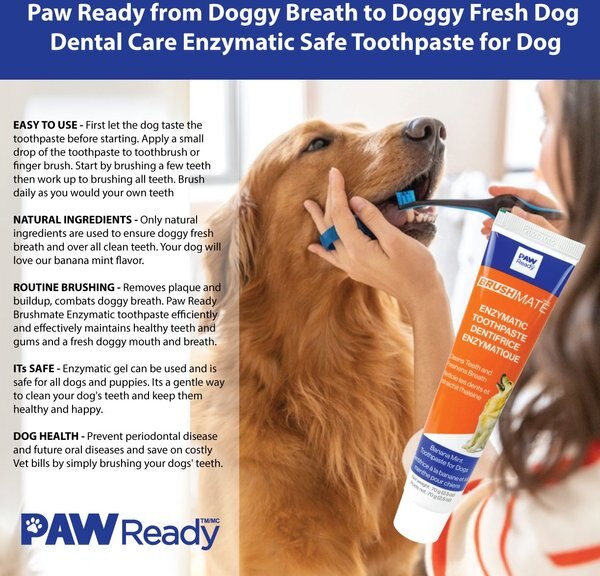 PAW READY Banana Mint Flavor Enzymatic Dog Toothpaste, 70-g tube ...