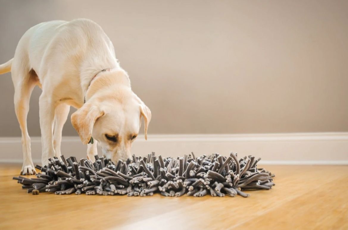 PAW5 Wooly Snuffle Dog Feeding Mat - Chewy.com