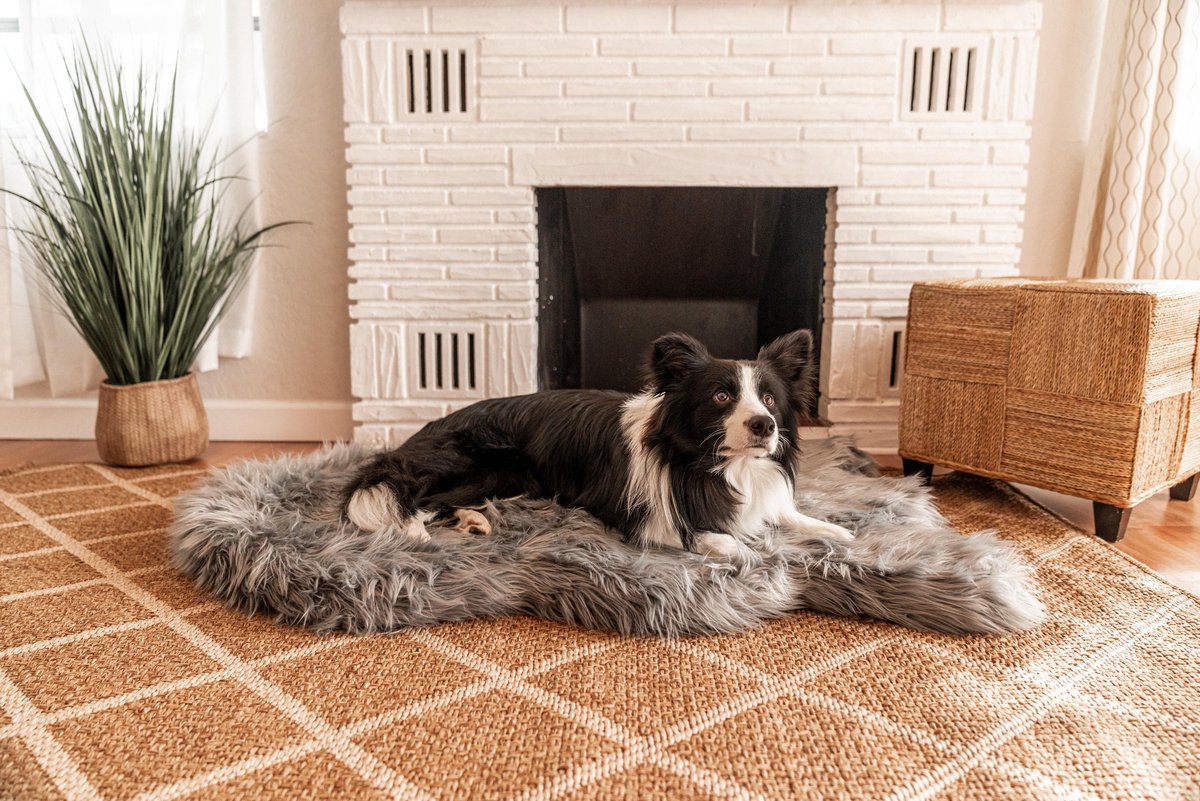 PAWBRANDS PupRug Premium Faux Fur Human Grade Orthopedic Memory Foam ...
