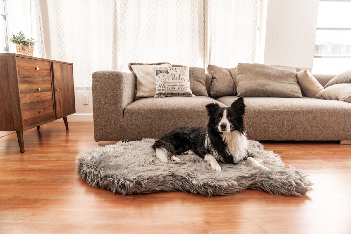 PAWBRANDS PupRug Premium Faux Fur Human Grade Orthopedic Memory Foam ...