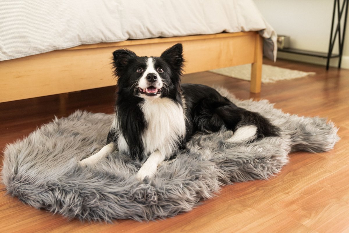 PAWBRANDS PupRug Premium Faux Fur Human Grade Orthopedic Memory Foam ...