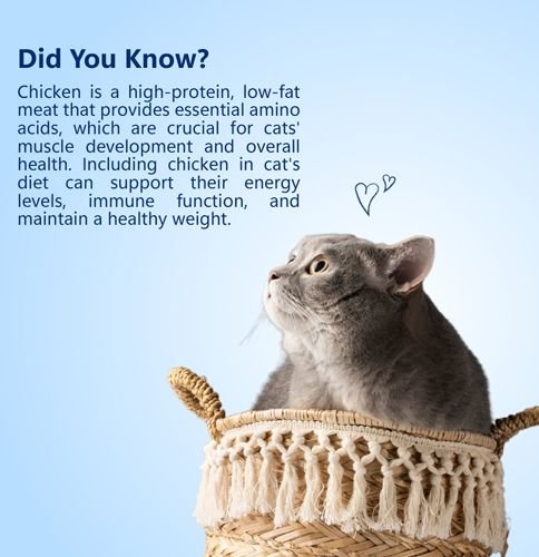 PAWFECT Pixie Air-Dried Fish Cat Treat, 50-gram bag - Chewy.com