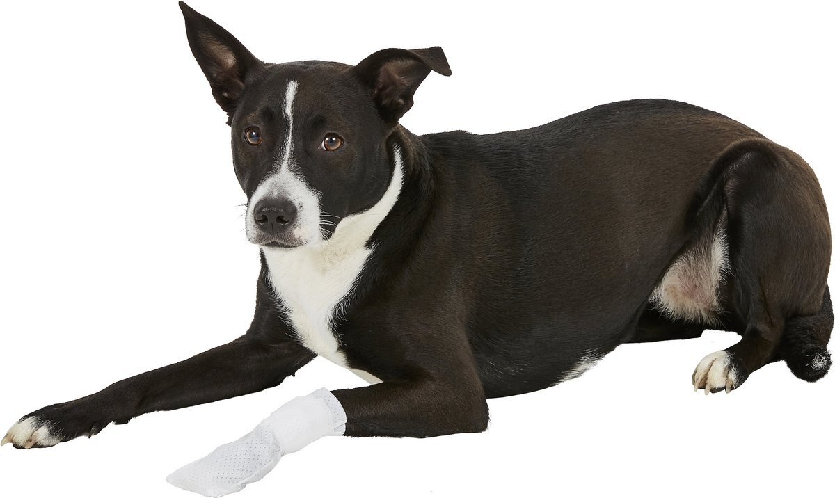 Out of Stock - PAWFLEX MediMitt Disposable Dog Bandage, 4 count, Medium ...