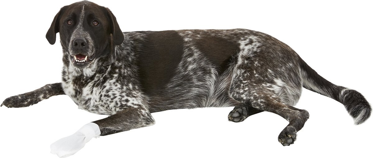 Out of Stock - PAWFLEX MediMitt Disposable Dog Bandage, 4 count, X ...