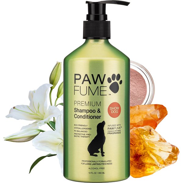 HONEST PAWS Skin & Coat 5-in-1 Oatmeal & Lavender Dog Shampoo & Conditioner, 16-fl oz bottle ...