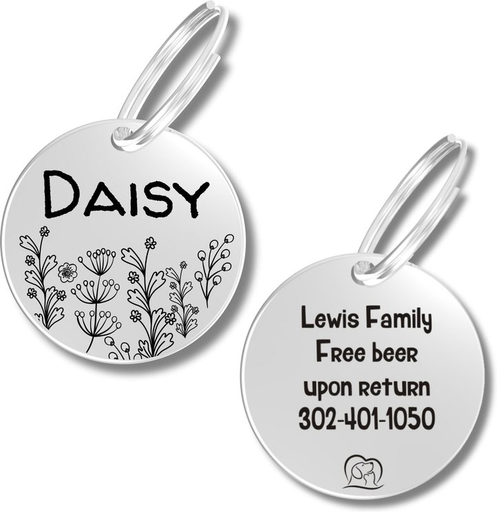 PERSONALIZED METAL DOG TAGS (Free Shipping) | Chewy