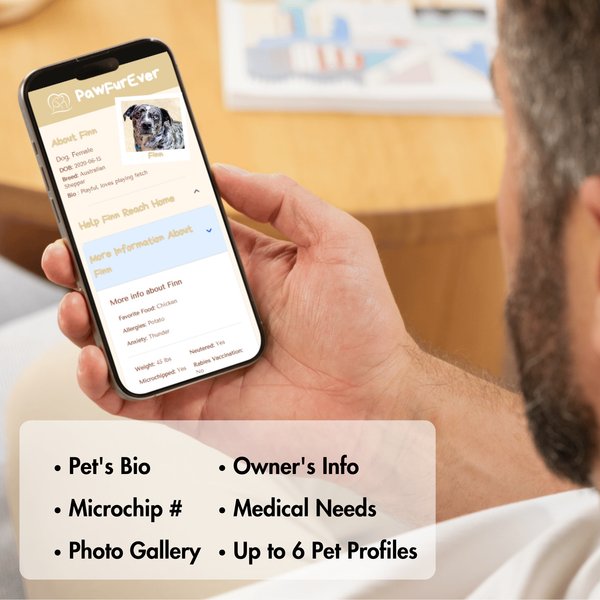 Temporarily Unavailable - PAWFUREVER Customizable QR Code Dog ID Tag ...