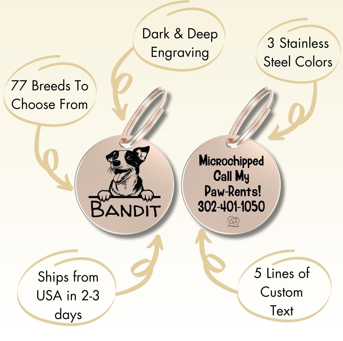 PAWFUREVER Dog Breed Stainless Steel Personalized Dog ID Tag, Basset ...