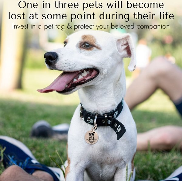 PAWFUREVER Dog Breed Stainless Steel Personalized Dog ID Tag, Bobtail ...