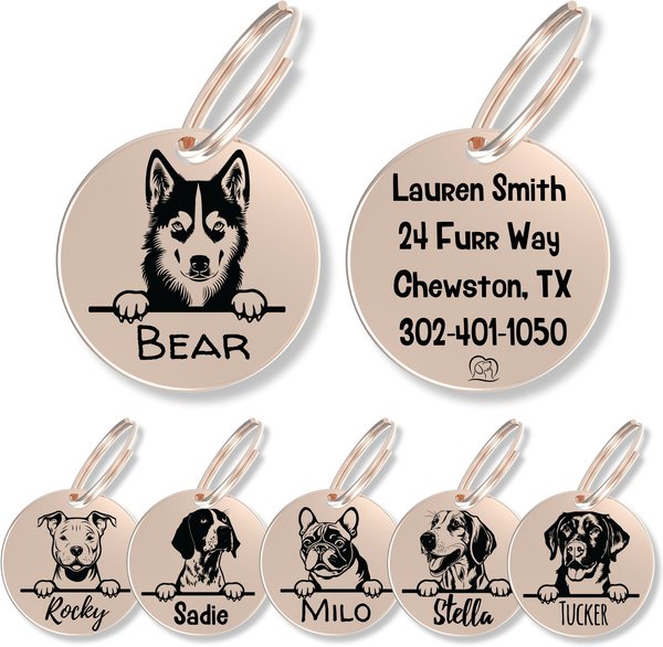 PAWFUREVER Dog Breed Stainless Steel Personalized Dog ID Tag, Husky ...