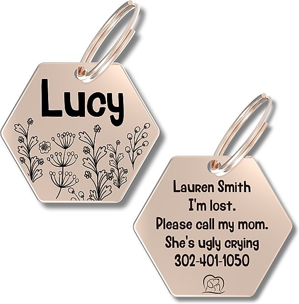 Cat Collar ID Tags - Page 2 (Free Shipping) | Chewy