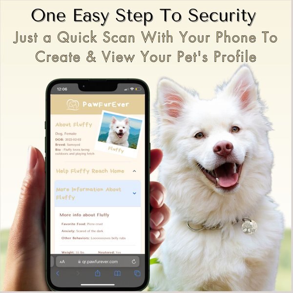 PAWFUREVER Personalized Engraved with QR Code Dog & Cat Tag, Gold ...