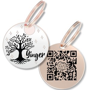 PAWFUREVER Personalized Engraved with QR Code Dog & Cat Tag, Rose Gold ...