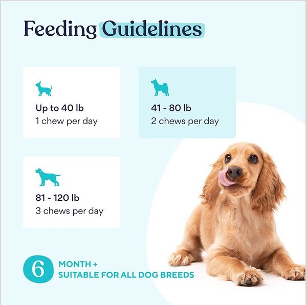 PAWFY Eye Support Peanut Butter Flavor Supplement for Dogs, 60 count ...