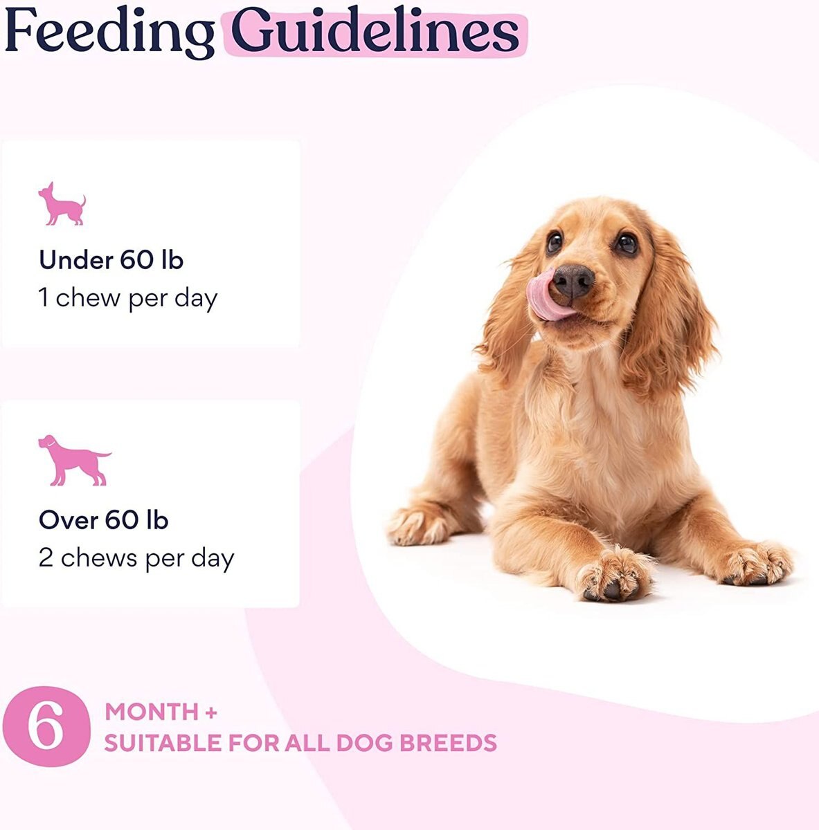 PAWFY Multivitamin Peanut Butter Flavor Supplement for Dogs, 30 count ...