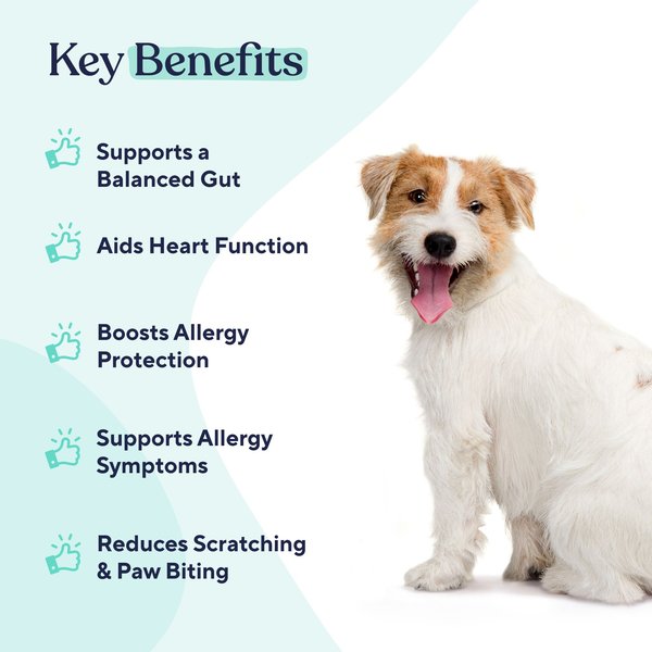 PAWFY Probiotic Chicken Flavor Chews Dog Supplement, 90 count - Chewy.com