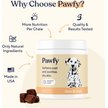 PAWFY Skin & Coat Chicken Flavor Chews Dog Supplement, 30 count - Chewy.com
