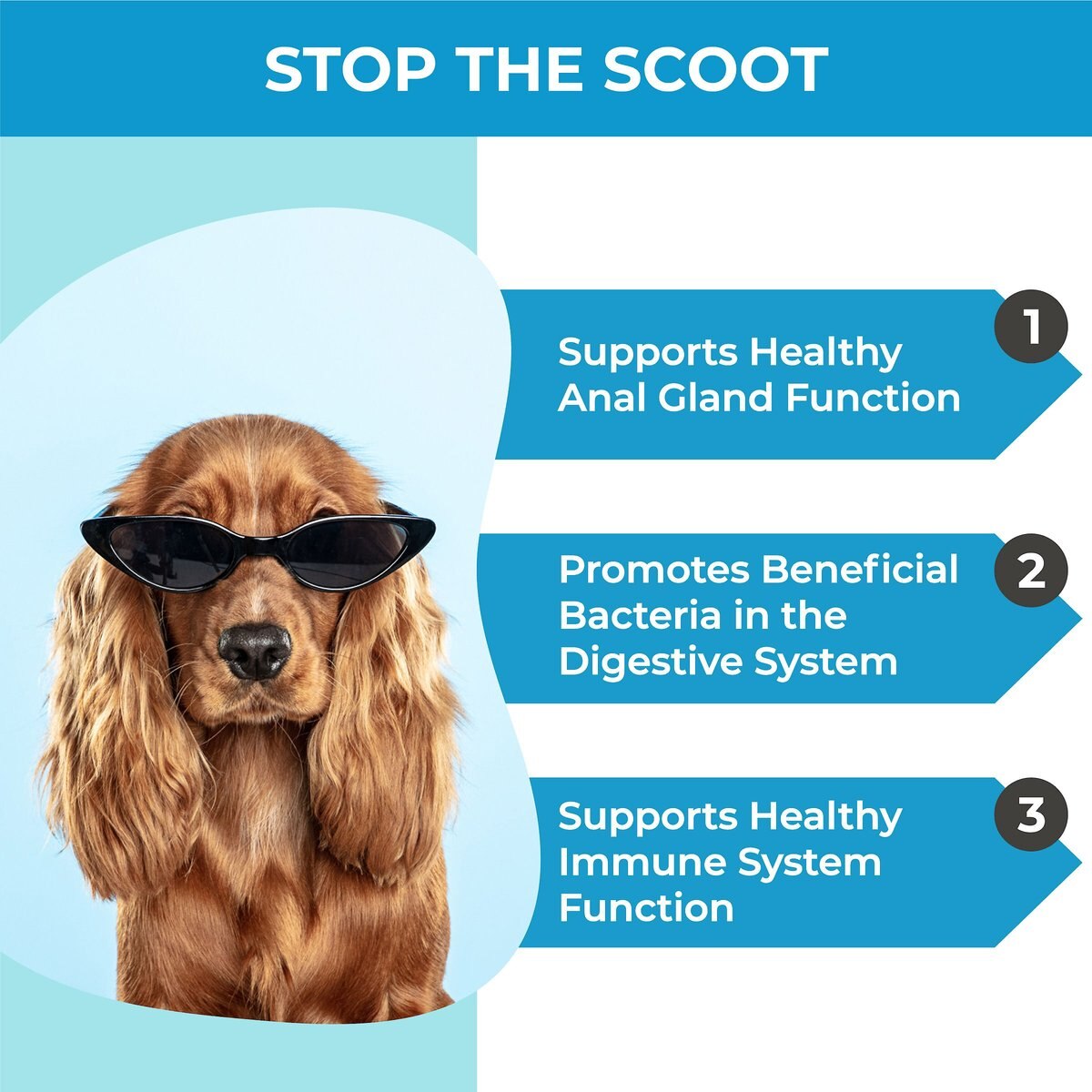 PAWMEDICA Stop Scooting Dog Supplements, 120 count - Chewy.com