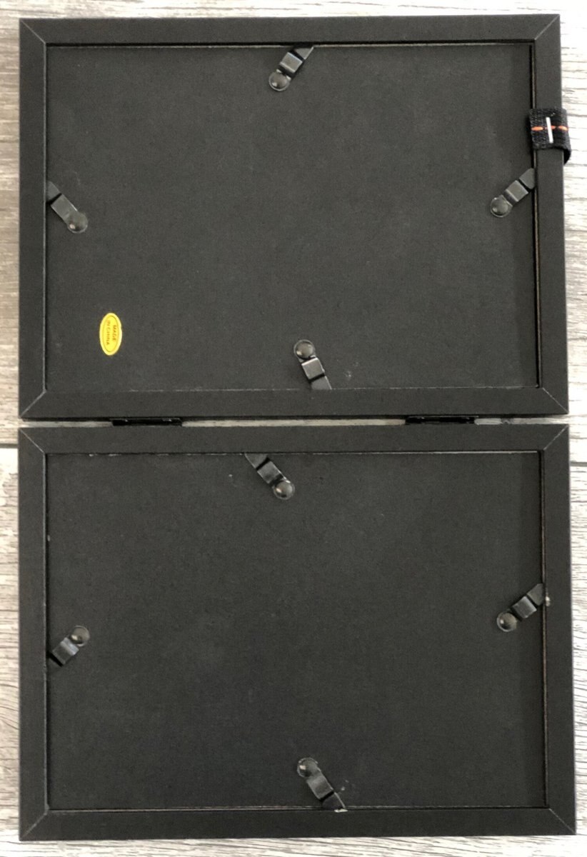 PAWPRINTS REMEMBERED Memorial Picture Frame with Ribbon & Tag - Chewy.com