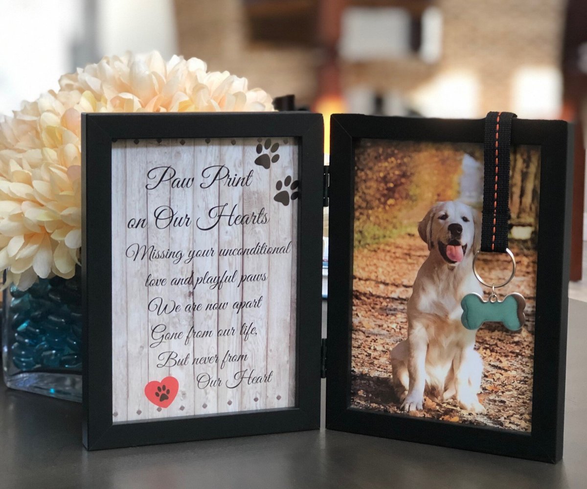 PAWPRINTS REMEMBERED Memorial Picture Frame with Ribbon & Tag - Chewy.com