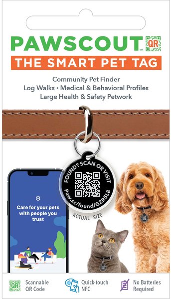 PAWSCOUT QR Smart Dog & Cat Tag - Chewy.com