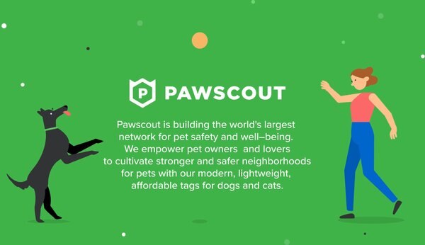 PAWSCOUT QR Smart Dog & Cat Tag - Chewy.com