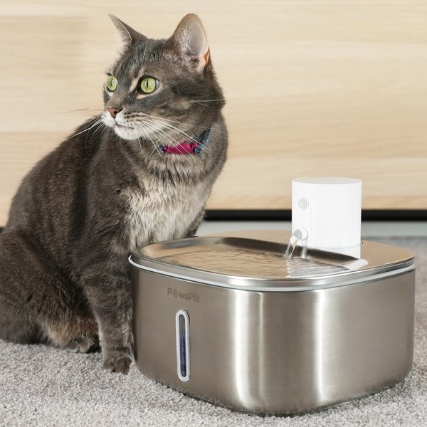 PAWSPIK Stainless Steel Cat Litter Box & Metal Scooper, X-Large, Light ...